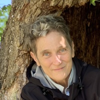 Jennifer Whiting - Independent Researcher