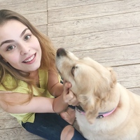 Marie Novak's Instagram, Twitter & Facebook on IDCrawl