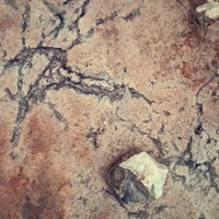 clément recq - Université de Bourgogne