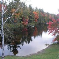 Terri-Jane Stapleton - York University