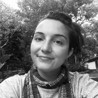 Alison Bouffet - Université Paris 7- Diderot