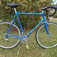 Milt Huling - Polk State College