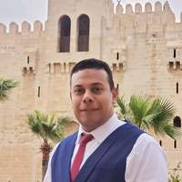 Amr Elsaid - Independent Researcher
