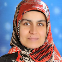 Ayşegül Hafızoğlu - Academia.edu