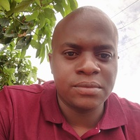 Paidamoyo Mutepfa - Independent Researcher