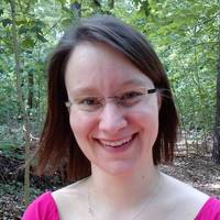 Christin Hoene - Maastricht University, Faculty of Arts and Social Sciences