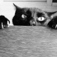 Francesca Cappa - Independent Researcher