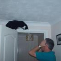 David Frier - University of Leeds