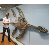 Adam S Smith - Independent Researcher