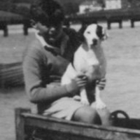 Michael Teare-Williams - The University of Western Australia