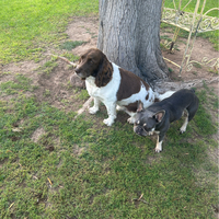 Prof Dr Onesmus M Ayaya