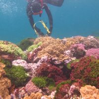 Sally Keith | University of Copenhagen - Academia.edu