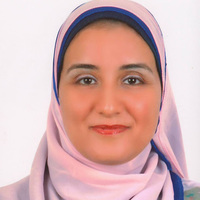 Ghada Abdelhady - Modern Science and Arts (MSA) university