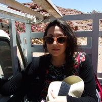 Serena Autiero - Thammasat University