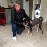 Linda Schilcher - Independent Researcher