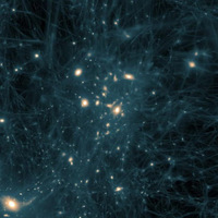 Ruth Chang - University of Oxford