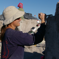 Susan M Mentzer - Senckenberg Forschunginstitut und Naturmuseum