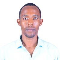 besrat berhanu - Independent Researcher