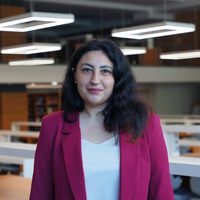 Merve Atasoy - Independent Researcher