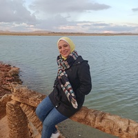 Sarah Ismael - Independent Researcher