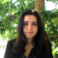 Eleni Pachoumi - Hellenic Open University