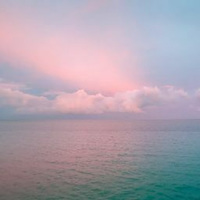 yasmin essa - Sharda University