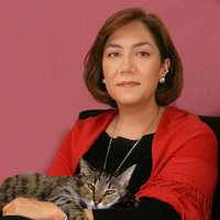 Rafael Castaneda Garcia - Universidad Nacional Autónoma de México