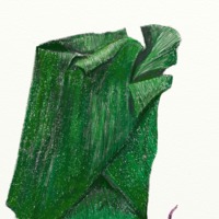 lono simatupang - Universitas Gadjah Mada (Yogyakarta)