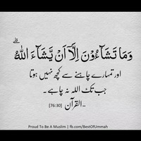 Dr. Maarij Shakoor - Lincoln University College