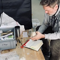 David Brügger - University of Oxford