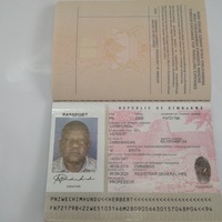 Herbert Chimhundu - Independent Researcher