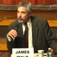 James Wald Im Wald Und Auf Der Heide