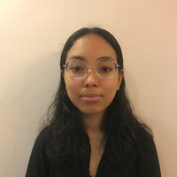 Ambira Pradhan - Independent Researcher