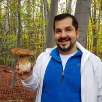 Mihailo Popovic, Doz. Mag. Dr. | Austrian Academy of Sciences ...