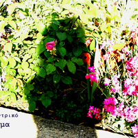 Anastasia Liori - ΕΘΝΙΚΟ ΚΑΙ ΚΑΠΟΔΙΣΤΡΙΑΚΟ ΠΑΝΕΠΙΣΤΗΜΙΟ ΑΘΗΝΩΝ