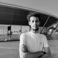 Eyoram Moges - Independent Researcher