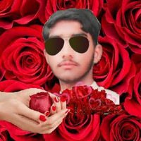 Hammad Khan's Instagram, Twitter & Facebook on IDCrawl