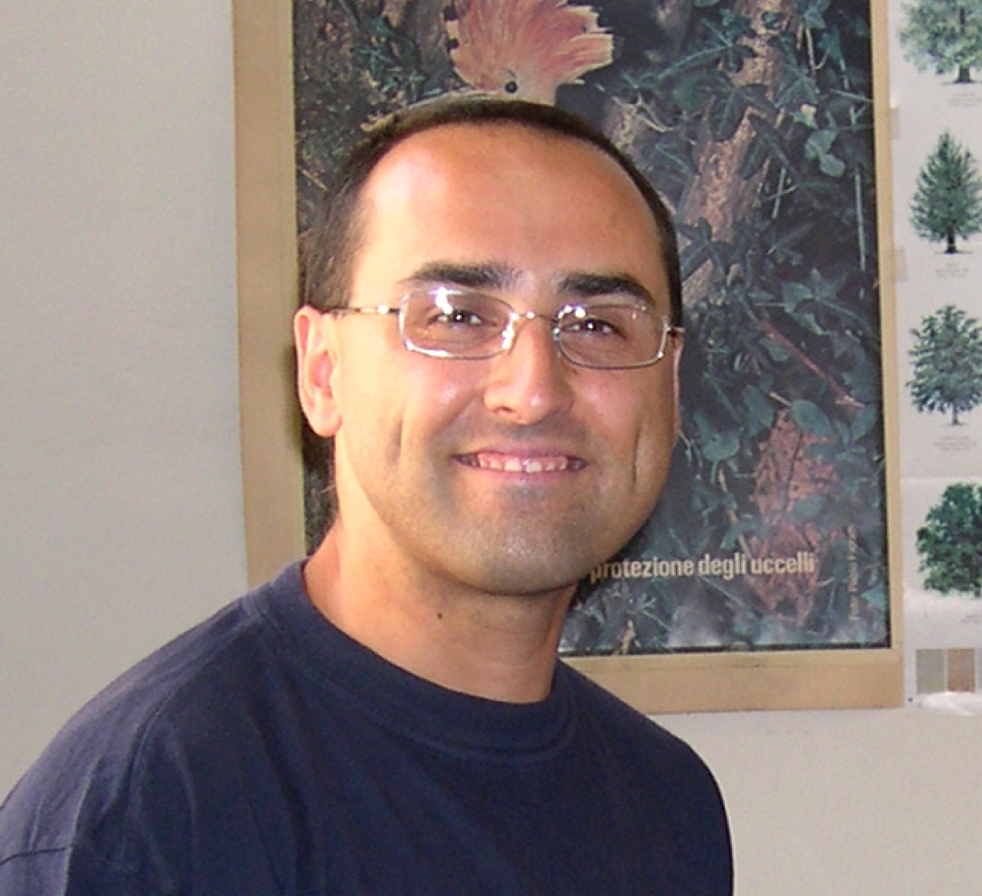 (PDF) Systematics and phylogeny of the endemic southeastern Asiatic ...