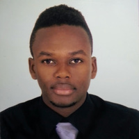 mike christopher saint fleur - Independent Researcher