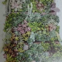 Veronica Labourdette - Universidad Nacional de Rosario (UNR) Argentina