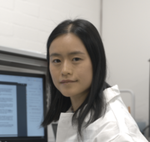 Special Issues - Academia Nano: Science, Materials, Technology ...