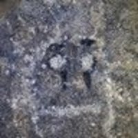 Isaac Shearn - Community College of Baltimore County