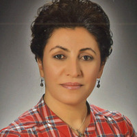 Funda Demirtaş - Erciyes University
