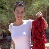 Barry Cannon - Dublin City University