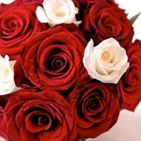 Helen Dakin - University of Oxford