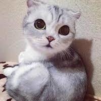 Indah Ilmiasari Taman - Gunadarma University