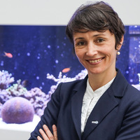 Anna-Katharina Hornidge - Leibniz Centre for Tropical Marine Research (ZMT)
