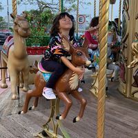 Fernando Baldi - Universidade Estadual Paulista "Júlio de Mesquita Filho"