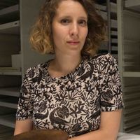 marie Perrier - Independent Researcher