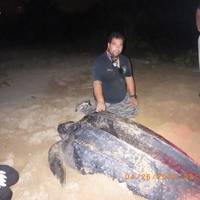 Elimelec Medina Resume/CV | Inter American University of PR, Department ...